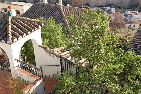 Reviews of Granada - Reviews, Opinions, Tips and Recommendations